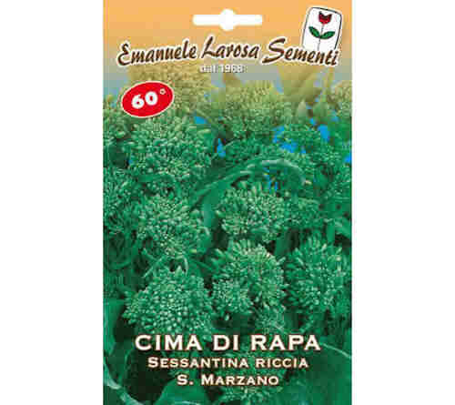 Cima di Rapa 60 Jours.