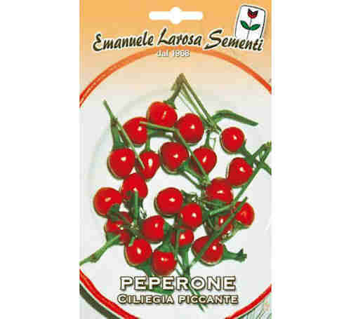 Petit Piment Cerise Fort du Chili.