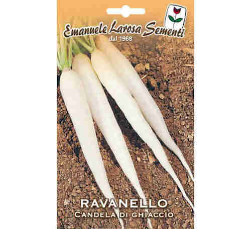 Radis Long Blanc.